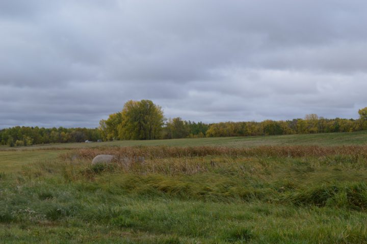 Claringbould Water Retention – Seine Rat Roseau Watershed District